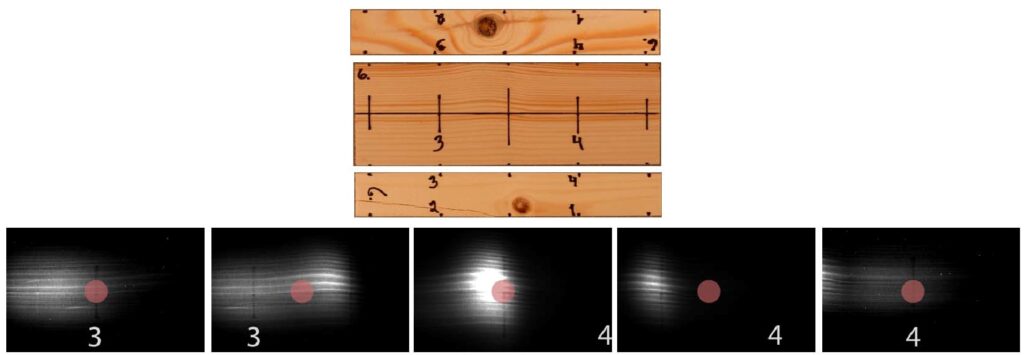 Measurement of wood structures with transillumination using CAVILUX